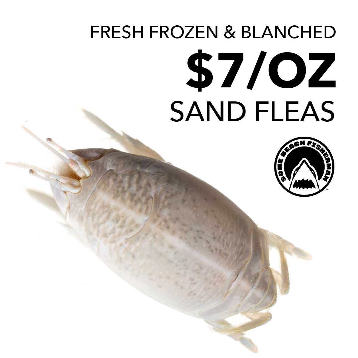 Sand Fleas | Fresh Frozen | Blanched | Fishing Bait | Some Beach Fisherman
